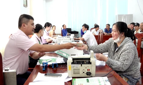 CHI NHÁNH NGÂN HÀNG CHÍNH SÁCH XÃ HỘI TỈNH ĐỒNG THÁP: Hoạt động ổn định ...